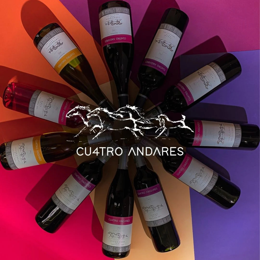 CU4TRO ANDARES RESERVA – Vinos buenvivir